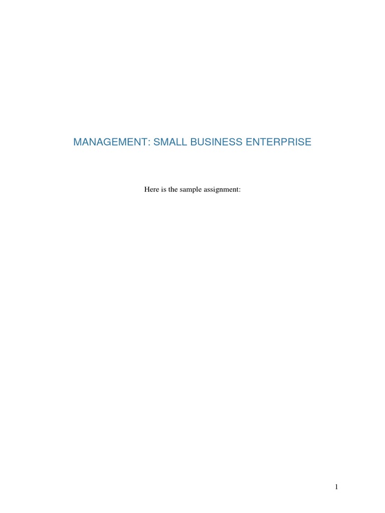 Small Business Management Assignment Sample | PDF | Goal | Airlines