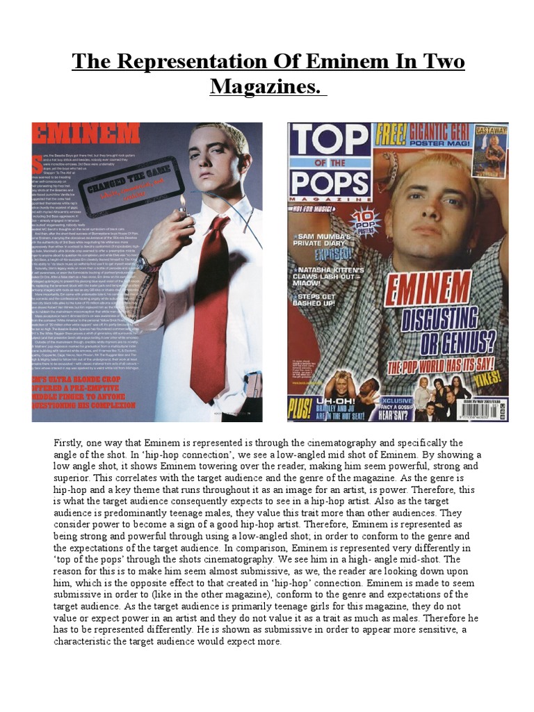 Eminem Analysis Task | PDF | Hip Hop Music | Target Audience