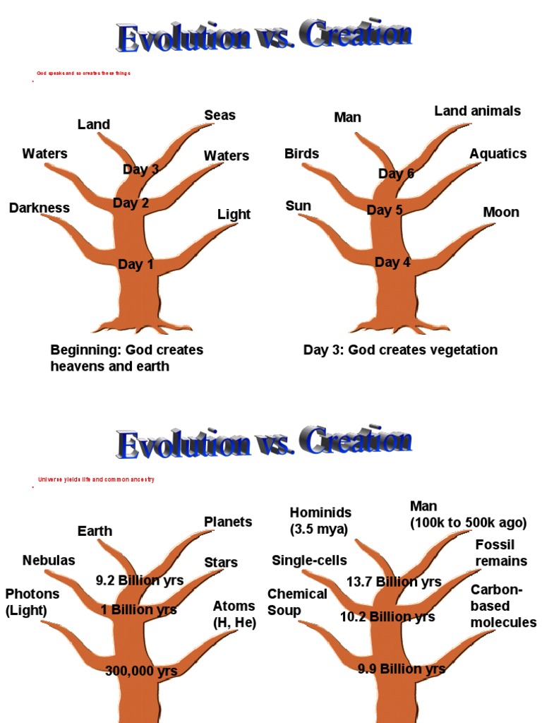 Evolution vs. Creation | PDF | Evolution | Natural Selection