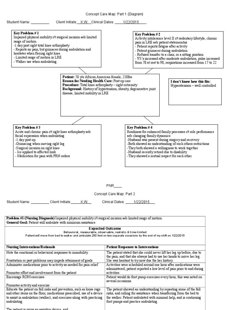 Concept Care Map Example | PDF