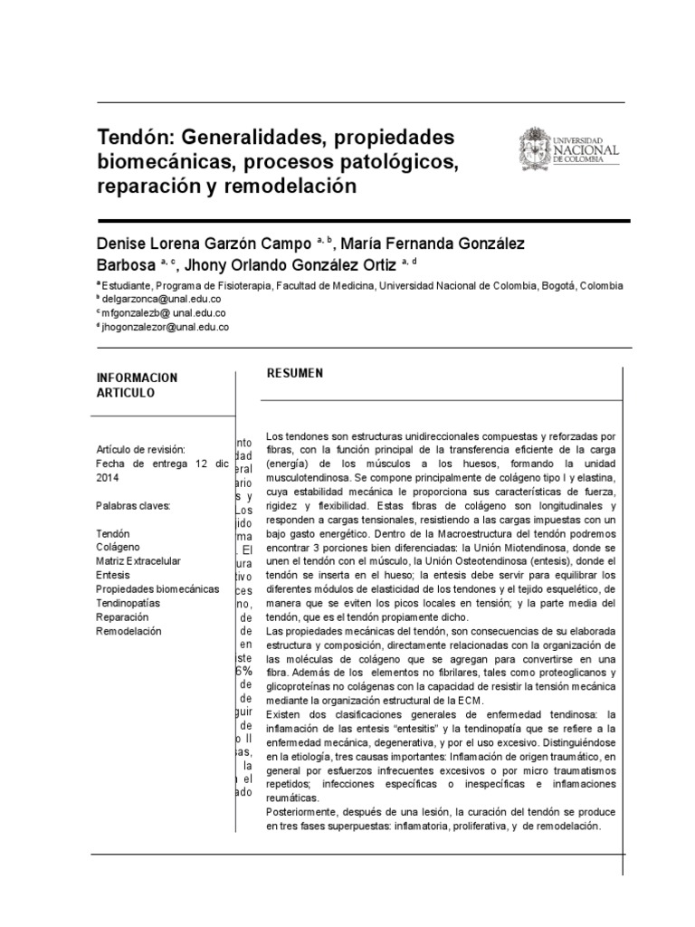 Función y Estructura del Tendón | PDF | Colágeno | Hueso