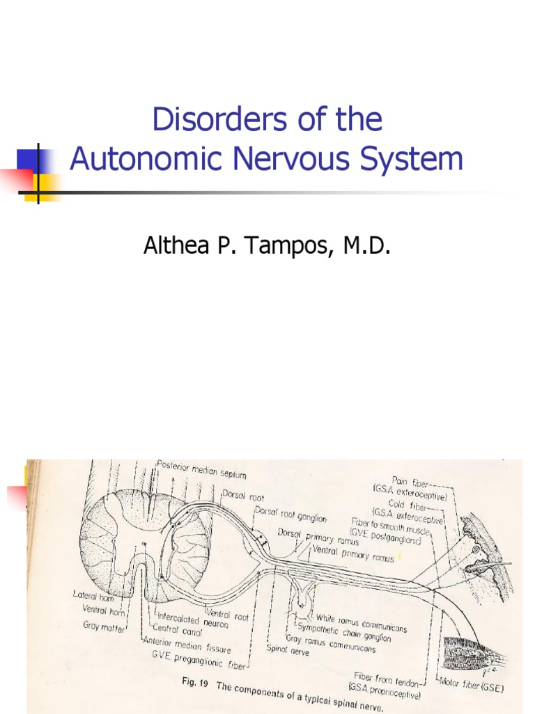 Autonomic Dysfunctions | Autonomic Nervous System | Peripheral Neuropathy