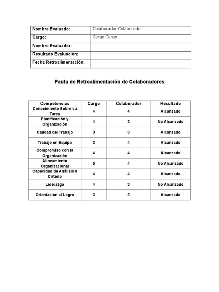 Pauta Retroalimentación Colaboradores | PDF | Psicología industrial y ...