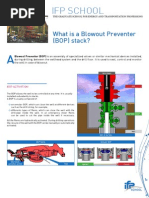 FPSO Turret Swivel Design Overview | PDF | Reliability Engineering ...