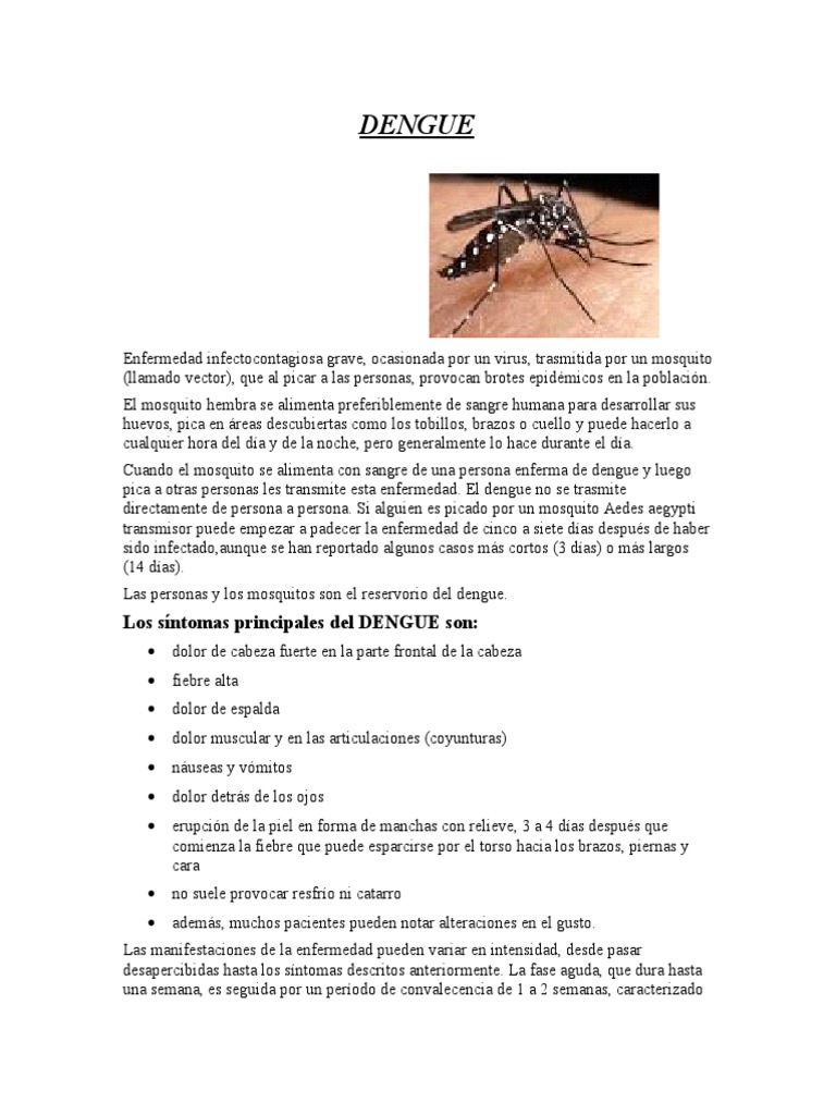 Informe Dengue | PDF | Inmunología | Enfermedades y trastornos Informe Dengue | PDF | Inmunología | Enfermedades y trastornos
