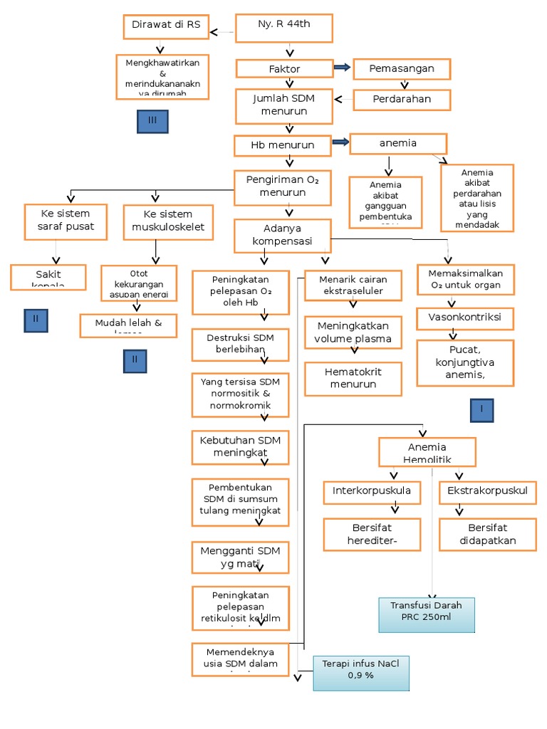 Map Anemia | PDF