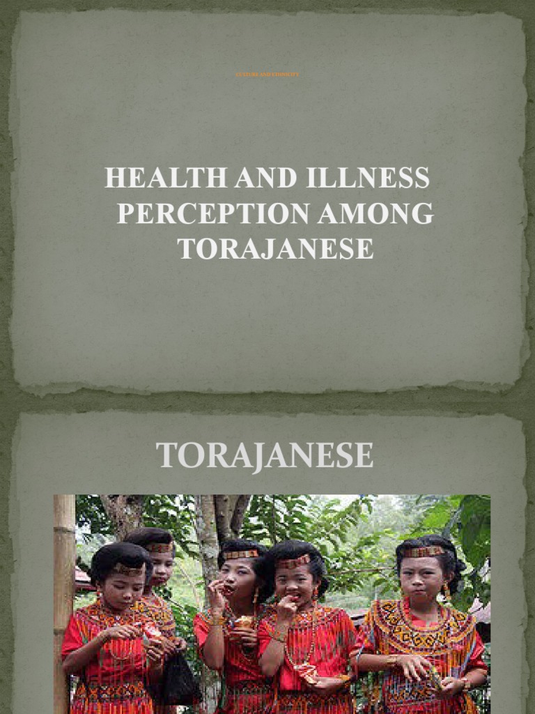 Health and Illness Perception Among Torajanese | PDF | Cultural ...