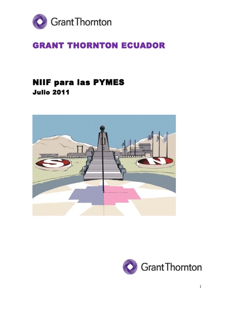 Guia Rapida de Niif para Las Pymes y Diferencias Con Niif Full | PDF ...