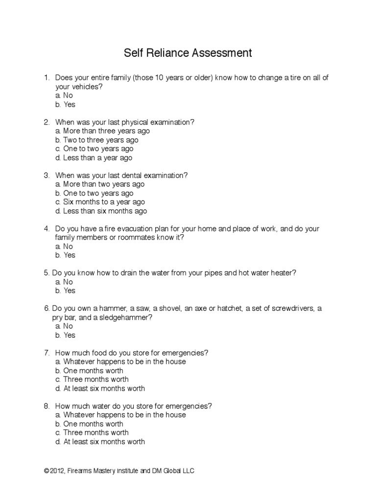 Self Reliance Assessment | PDF | Violence | Business