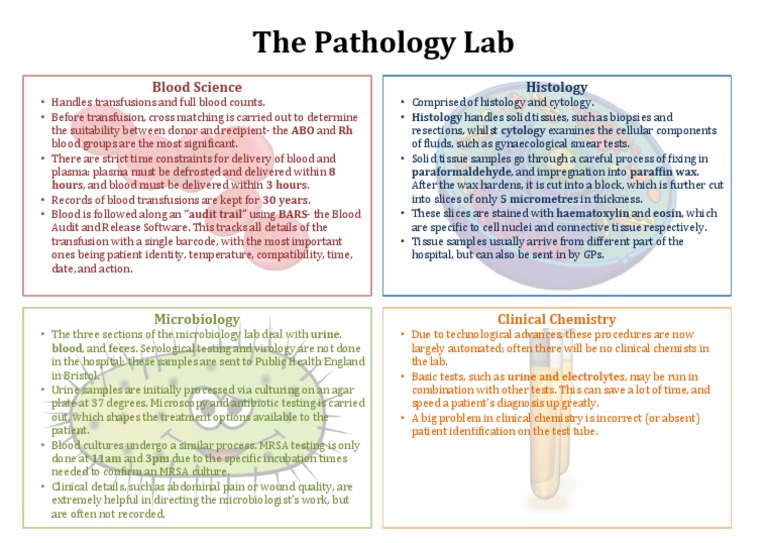 The Pathology Lab: Blood Science | Download Free PDF | Histology ...