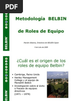Modelo Roles Equipo Belbin | PDF | Aprendizaje | Mente