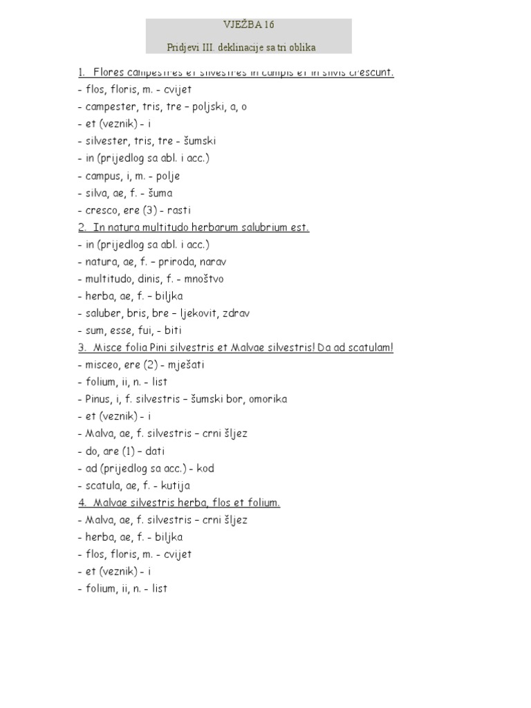 Latinski, 16. Vjezba | PDF