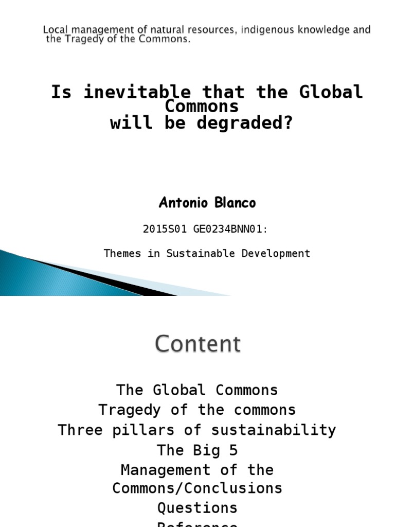Themes in Sustainable Development The Global Commons and Tragedy of ...