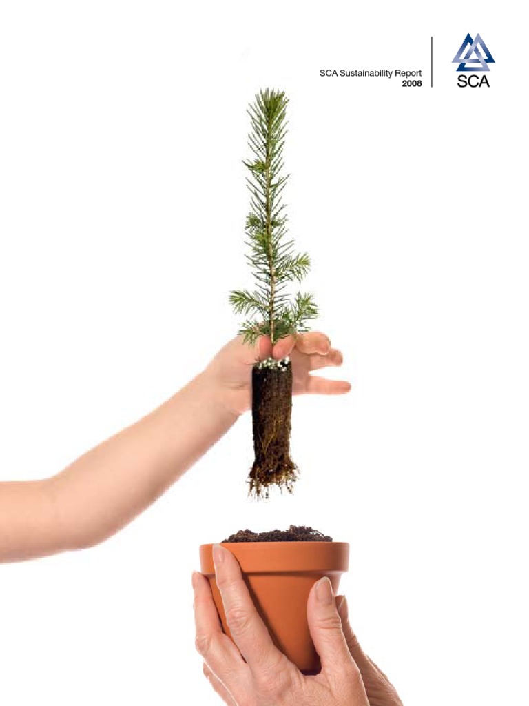 SCA Sustainability Report 2008 | PDF | Corporate Social Responsibility ...