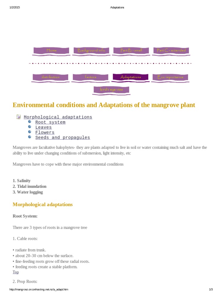 Mangrove Plant Adaptations Explained | PDF | Mangrove | Root
