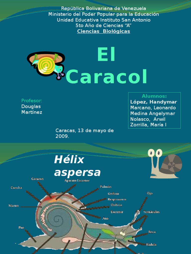 El Caracol | PDF | Biologia de sistemas | Ciencias de la vida
