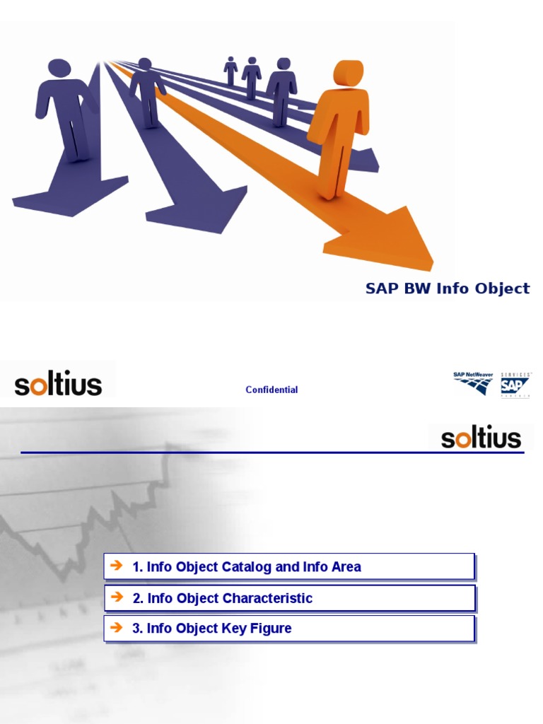 SAP BW Info Object | PDF | Hierarchy | Data Type