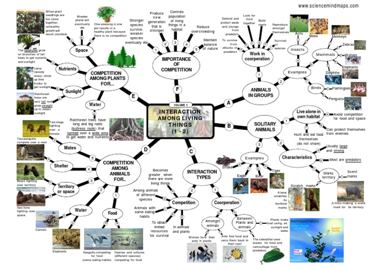 Importance OF Competition Competition Among Plants FOR... : Interaction ...
