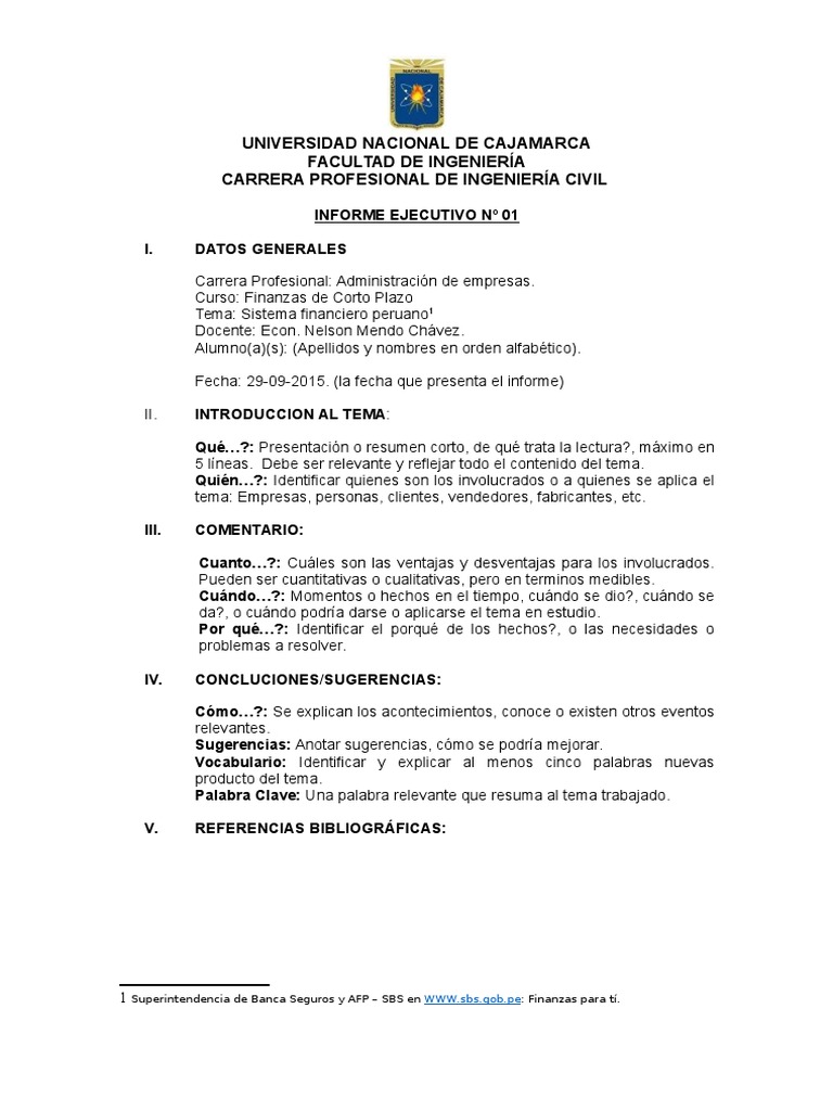 Informe Ejecutivo Modelo | PDF