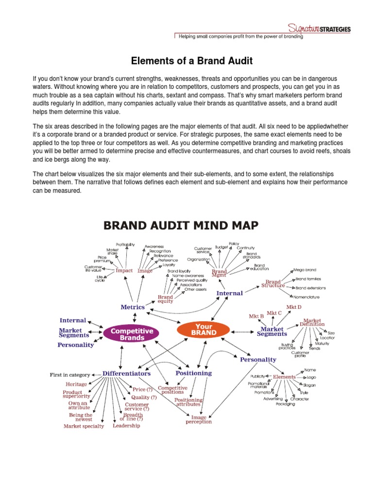 Elements of a Brand Audit Explained | PDF | Brand | Market Segmentation