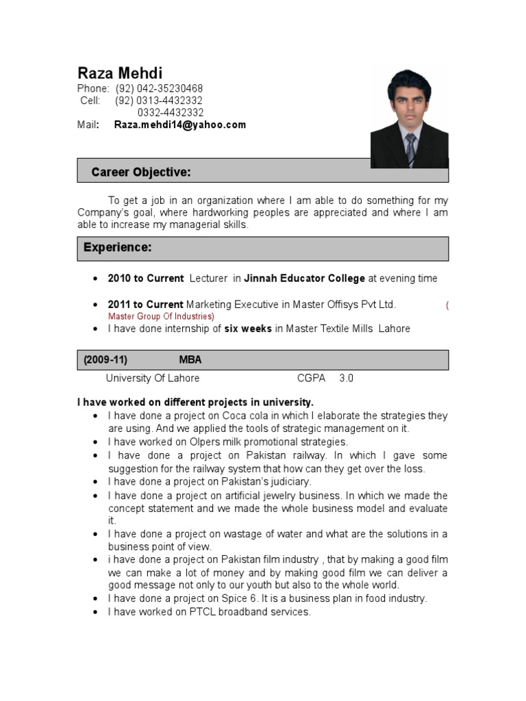 Raza Mehdi's Professional Resume | PDF