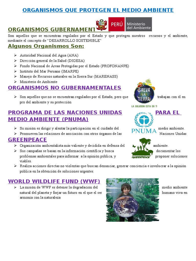 Organismos que protegen el medio ambiente | PDF