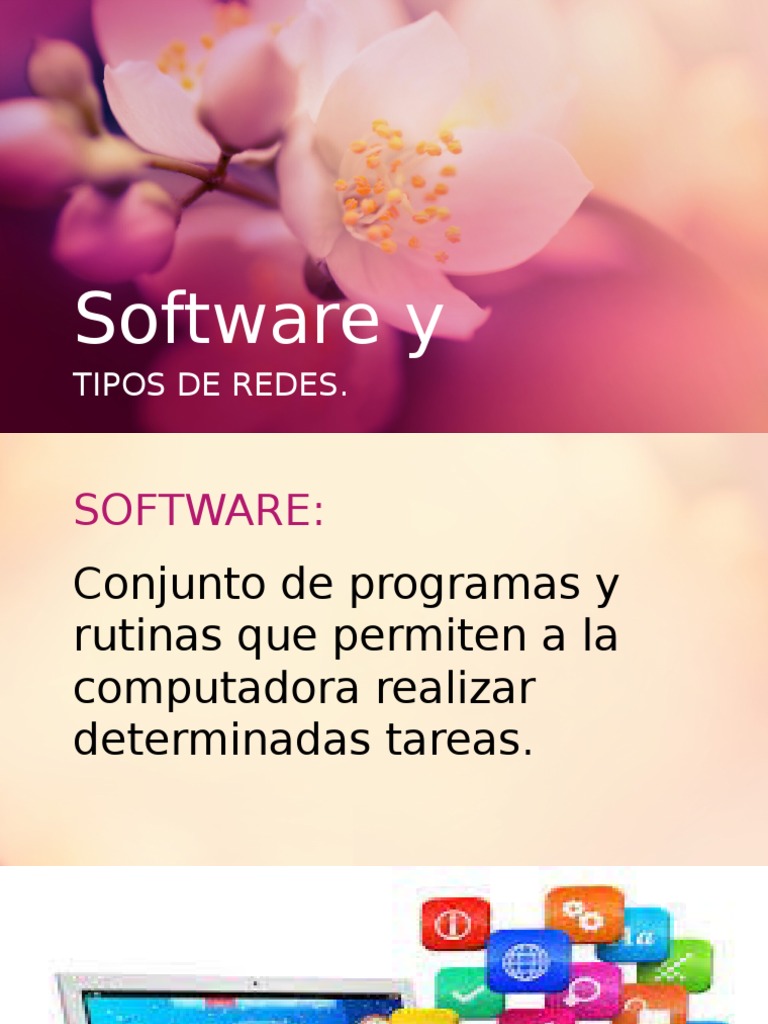 Software y Tipos de Red | PDF