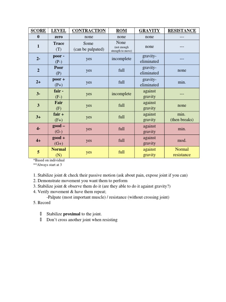 Muscle Strength Assessment Guide | PDF