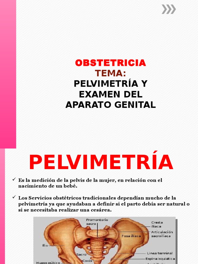 PELVIMETRÍA | Pelvis | Anatomía humana