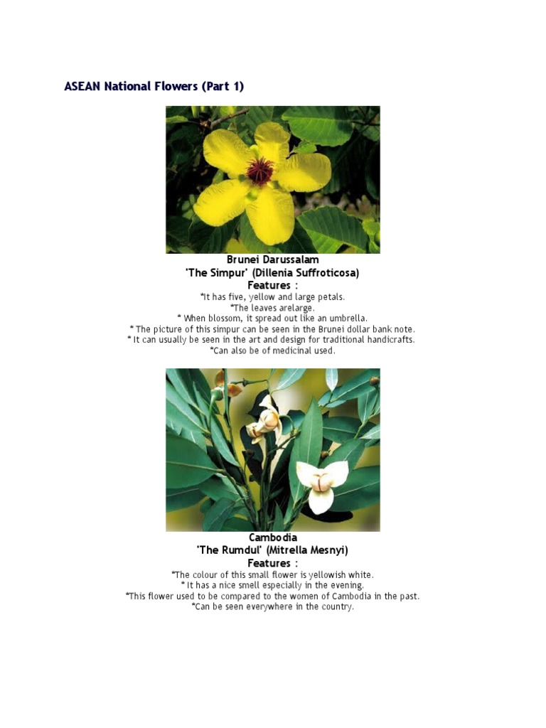 ASEAN National Flowers | PDF | Periodic Phenomena | Flowers