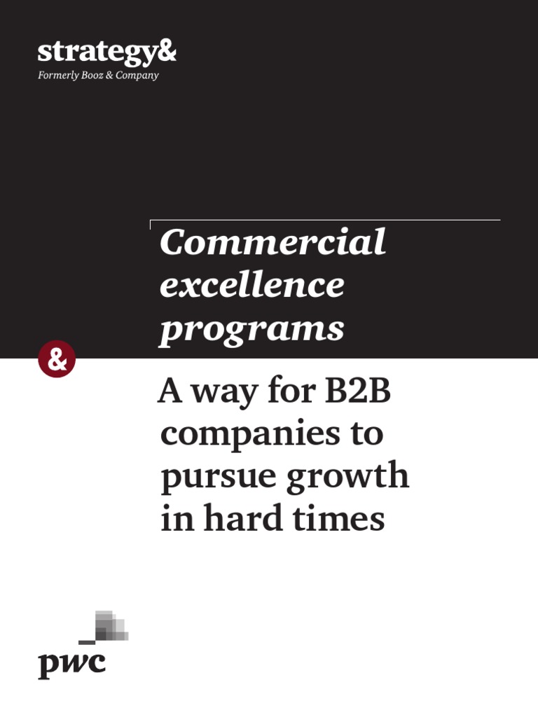 Strategyand Commercial Excellence Programs | PDF | Market Segmentation ...