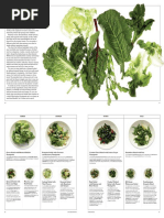 Vegetable Conversion Chart | PDF | Vegetables | Agronomy