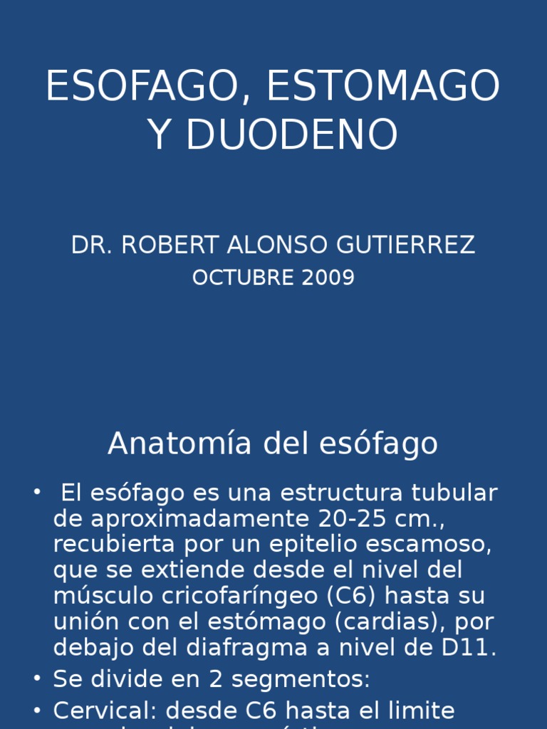 Estudio Contrastado Esofago | PDF | Estómago | Esófago