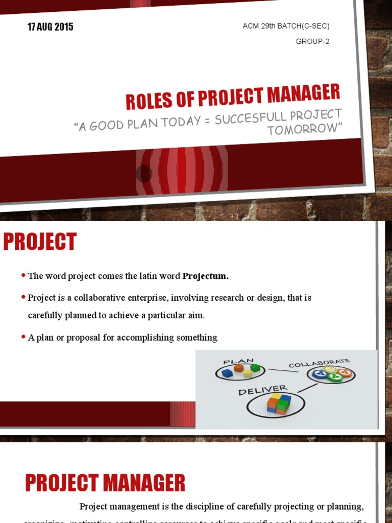 Project Management Basics | PDF | Project Manager | Project Management