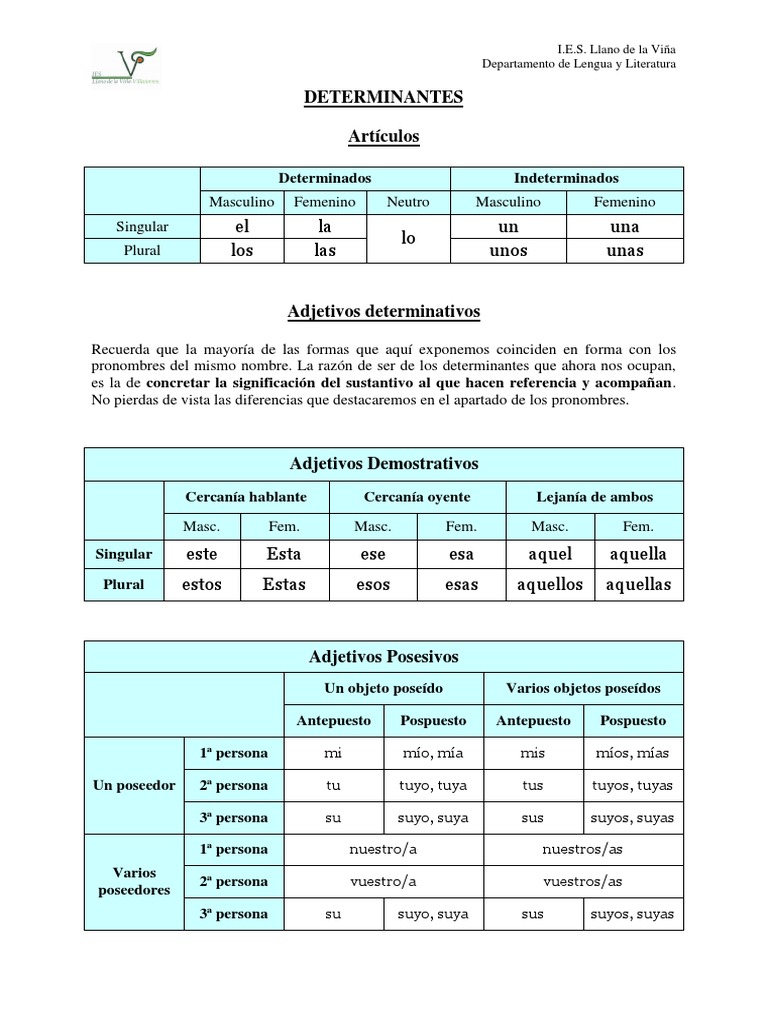 Determinantes y Pronombres | PDF | Adjetivo | Mecánica del lenguaje