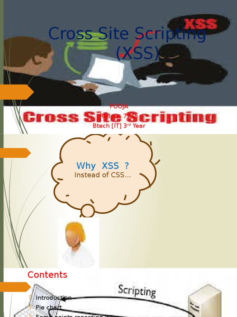 Cross Site Scripting | PDF | Java Script | Computer Network Security