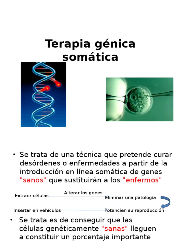 Terapia génica somática | Terapia de genes | Eugenesia