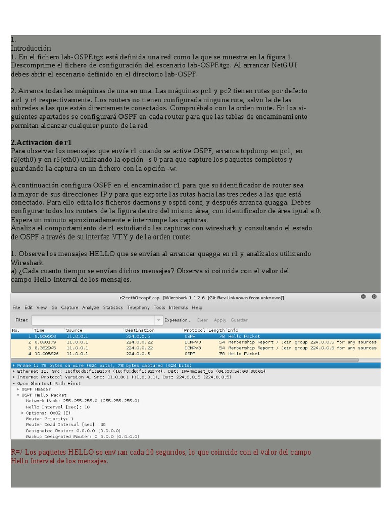 Ospf | PDF | Enrutador (Computación) | Enrutamiento