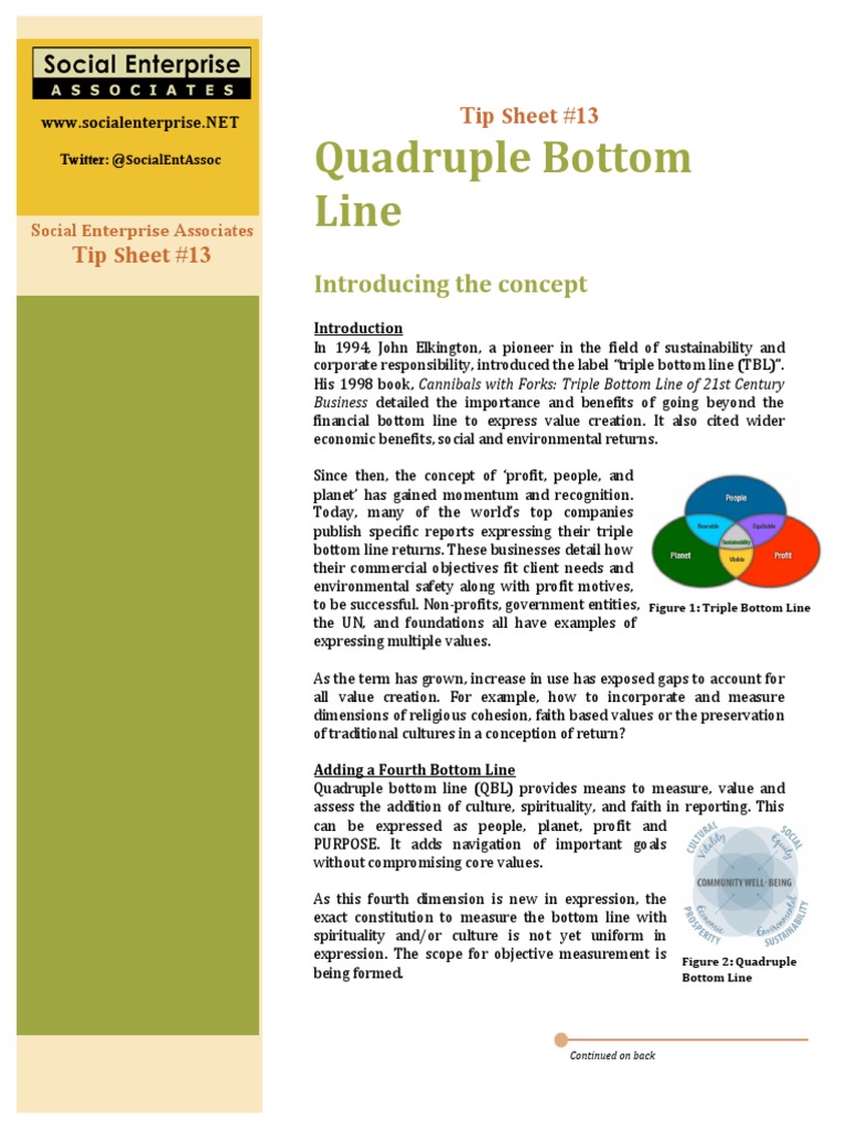 Tip Sheet 13 QBL | PDF | Social Enterprise | Entrepreneurship