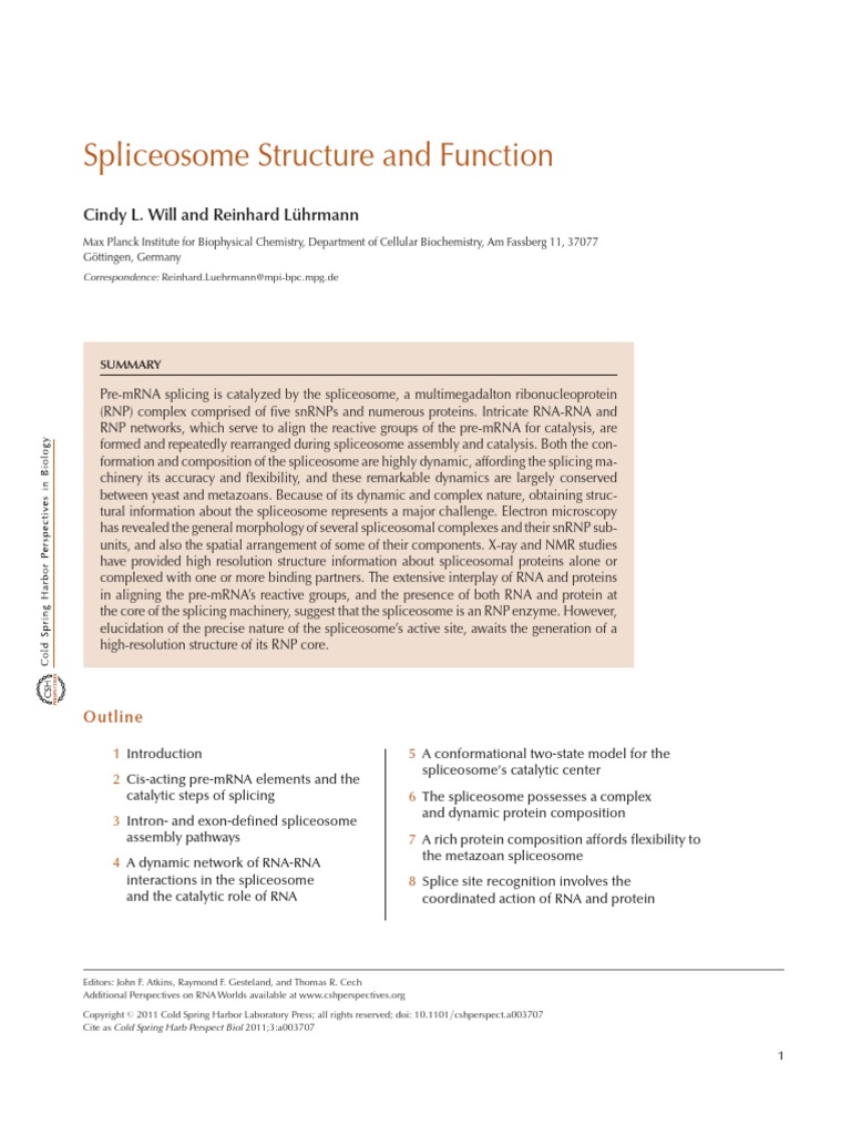 Spliceosome Structure and Function PDF | PDF | Rna Splicing | Intron