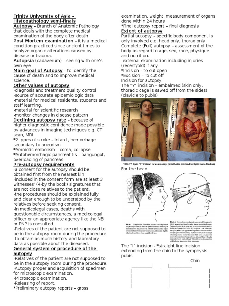 Histo Autopsy | PDF | Autopsy | Pathology
