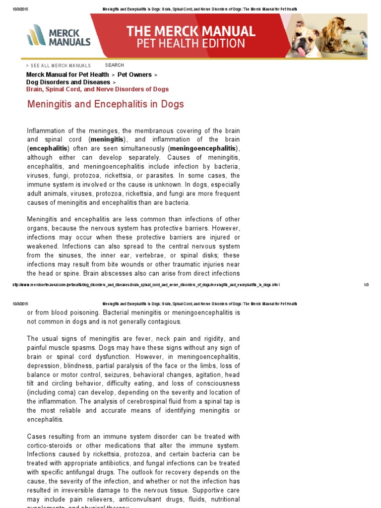 Meningitis and Encephalitis in Dogs - Brain, Spinal Cord, and Nerve ...
