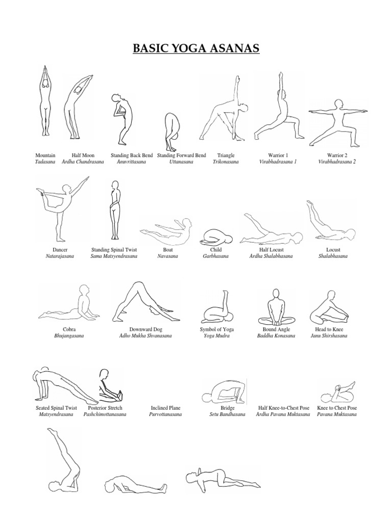 Basic Yoga Asanas Guide | PDF