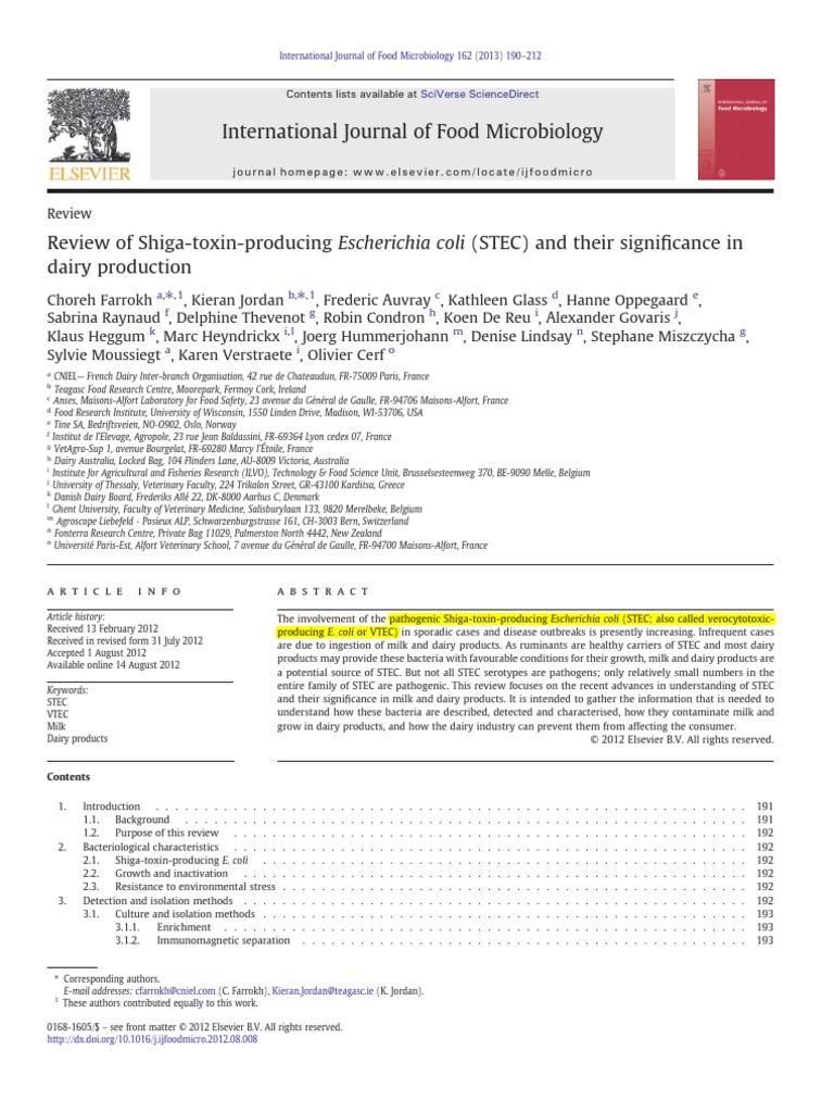 E Coli | PDF | Escherichia Coli | Bacteria