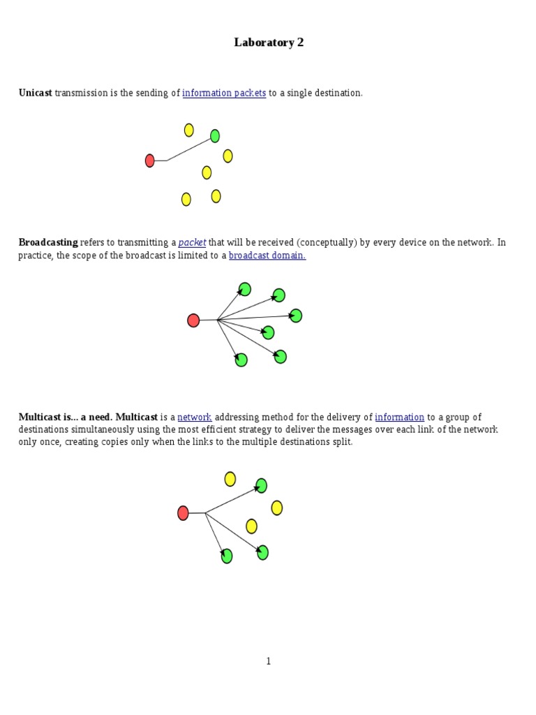 Laboratory 2: Information Packets | PDF | Port (Computer Networking) | Network Socket