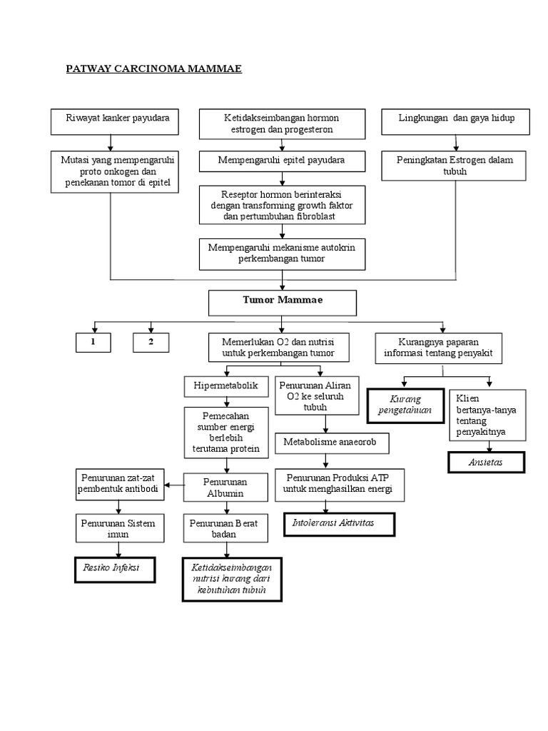 Pathway Tumor Mammae