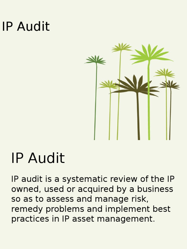 IP Audit | Download Free PDF | Due Diligence | Mergers And Acquisitions
