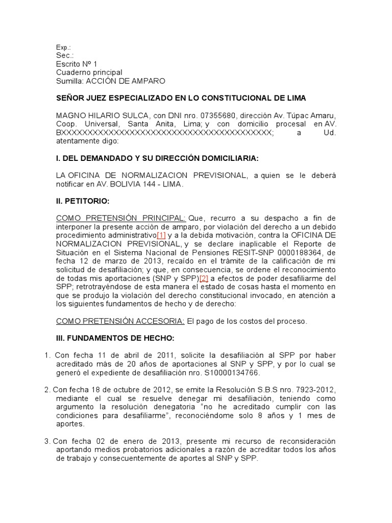 Modelo Demanda de Amparo | PDF | Pensión | Ley Pública