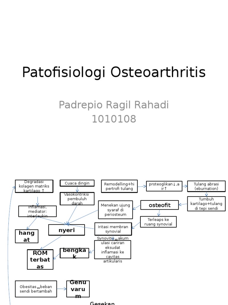 Patofisiologi Osteoarthritis