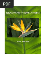 Modification of Plant Parts | PDF | Leaf | Root